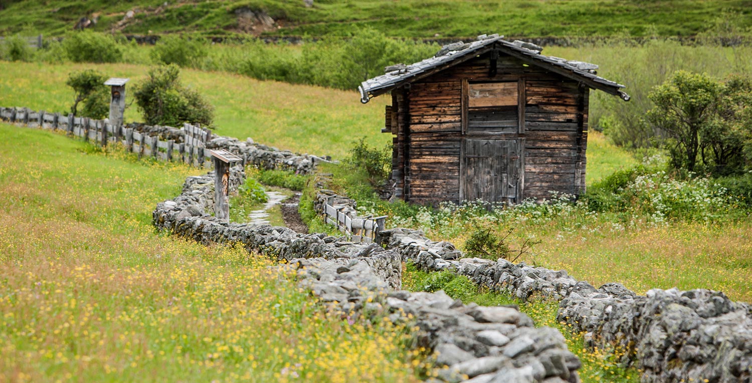 Hotel Tiroler Adler in Luttach, Ahrntal für Ihren Urlaub in Südtirol